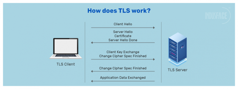 SSL Vs TLS – Know Your Security Protocols | Indusface Blog SSL Vs TLS – Know Your Security Protocols | Indusface Blog