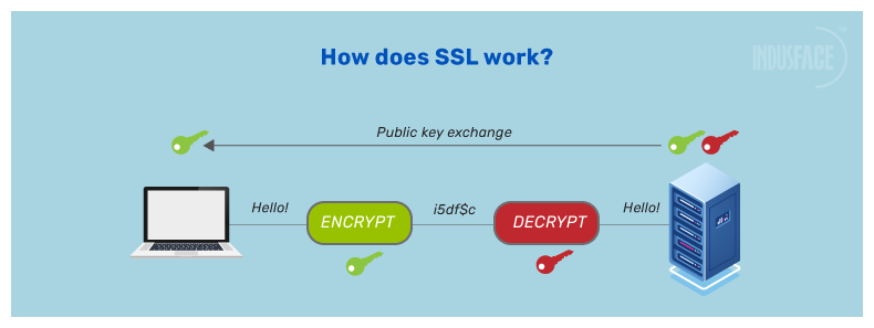 SSL Vs TLS – Know Your Security Protocols For 2020 | Indusface Blog