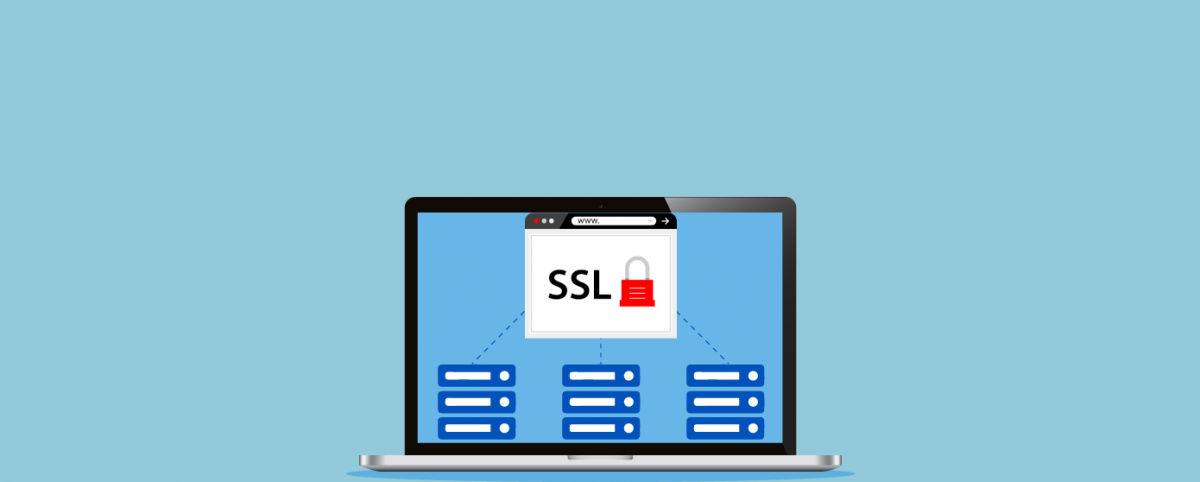 What are Wildcard SSL Certificates and SAN SSL Certs? | Indusface