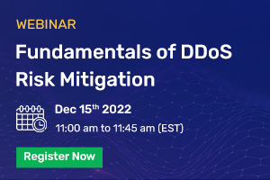 Fundamentals of DDoS Risk Mitigation | Indusface