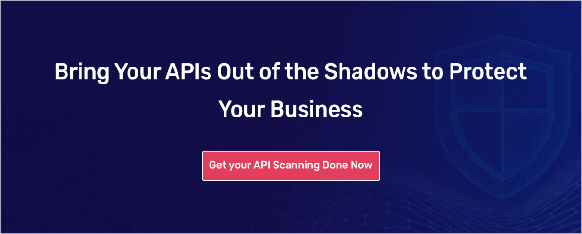 Shadow API: Best Practices to Detect and Prevent | Indusface