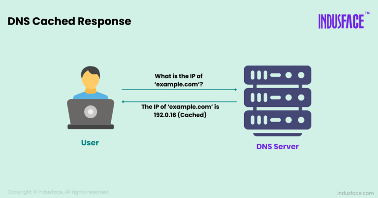 DNS Poisoning: Risks and Protection Strategies | Indusface