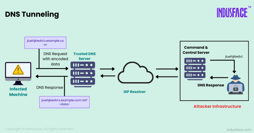 Discover DNS tunneling with examples & usecases| Indusface