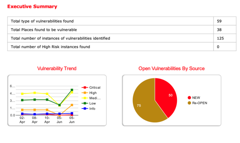 How to Read a Vulnerability Assessment Report | Indusface