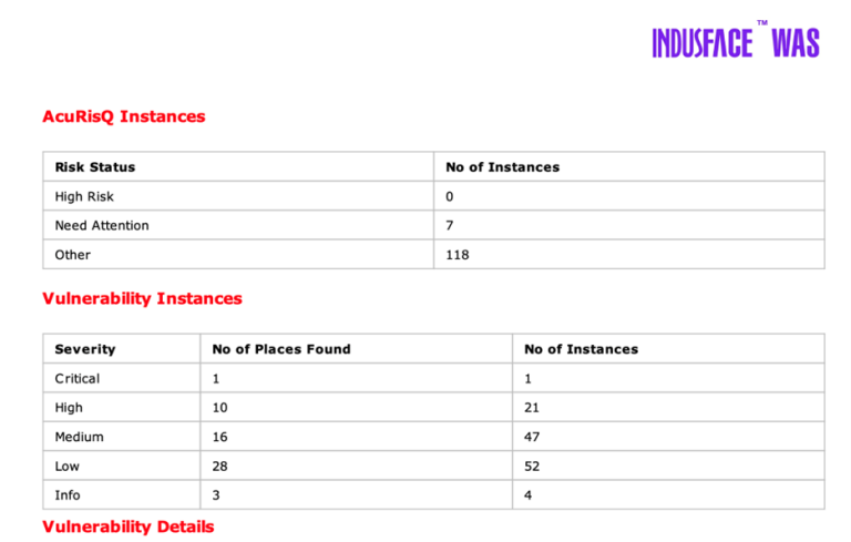 How to Read a Vulnerability Assessment Report | Indusface