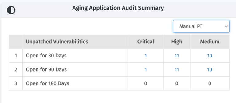 Key Penetration Testing Metrics for Leadership | Indusface